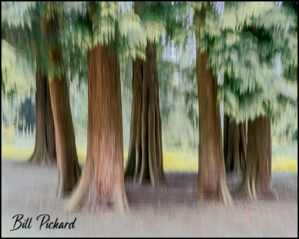 Bill Pickard | Kendal Photography Club