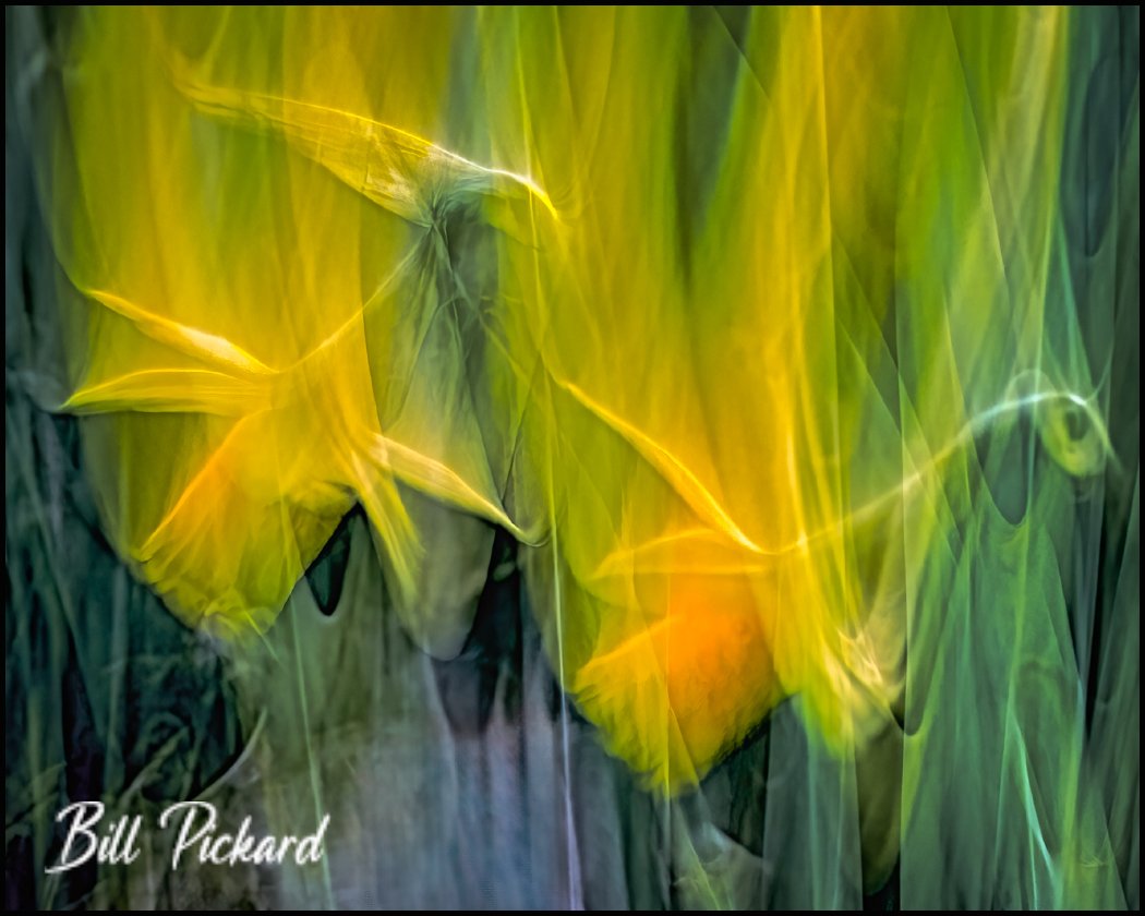 Bill Pickard | Kendal Photography Club