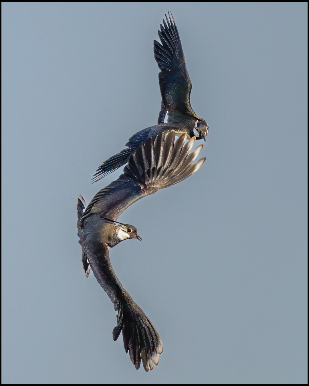 Bill Pickard | Kendal Photography Club