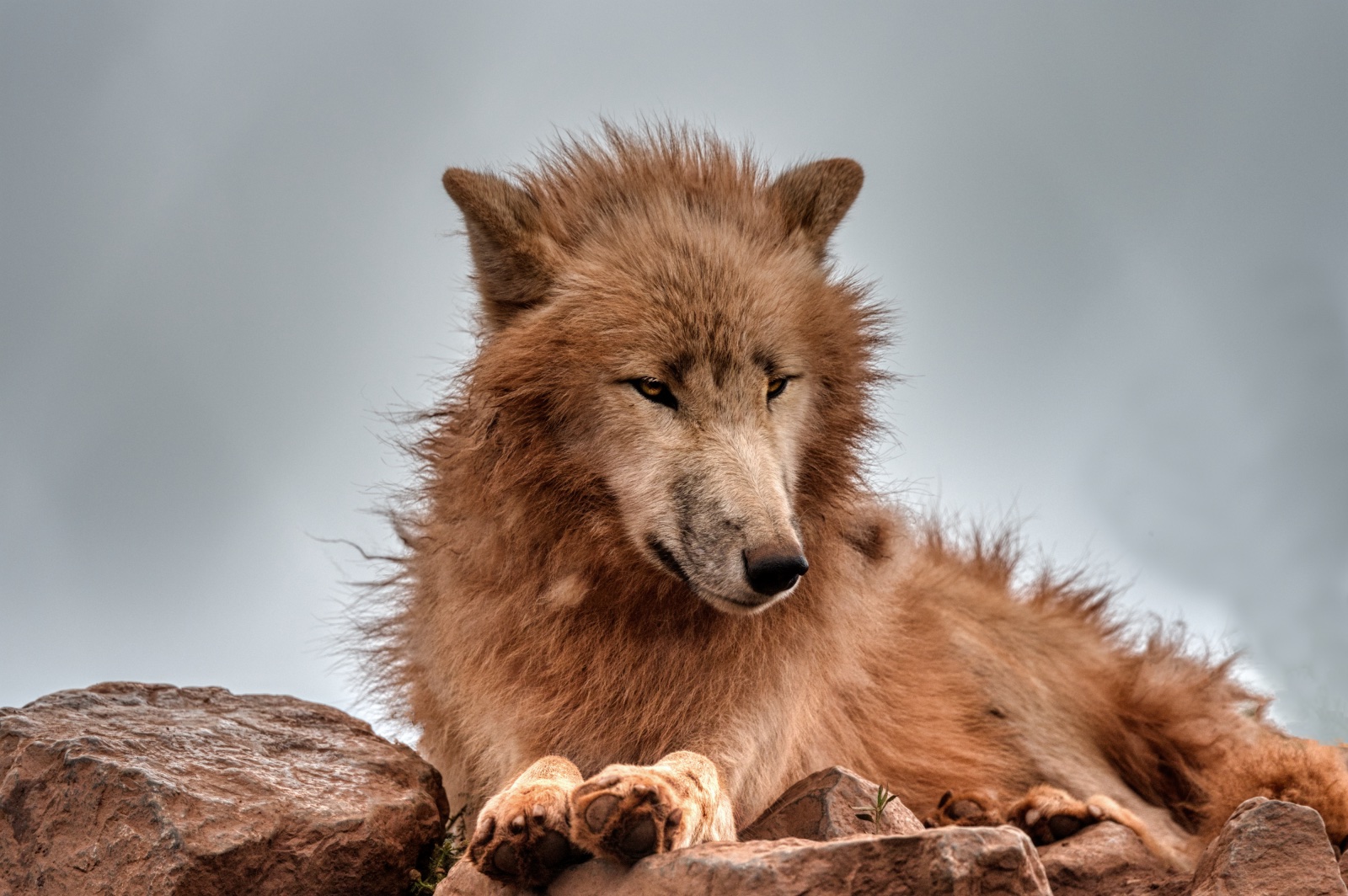 Karen Carruthers | Kendal Photography Club